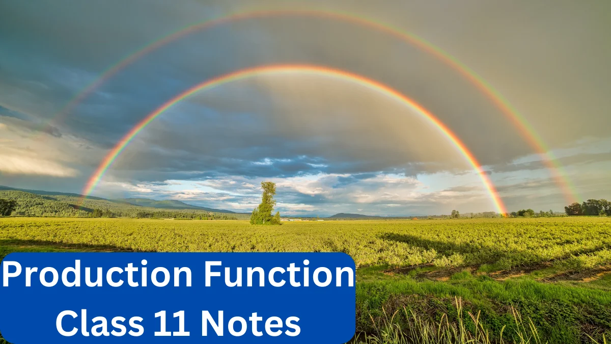 Production Function Class 11 Notes - Commerce Clarity