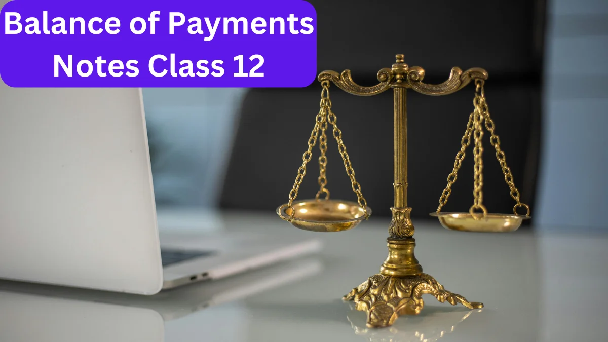 Balance of Payments Class 12 Notes - Commerce Clarity