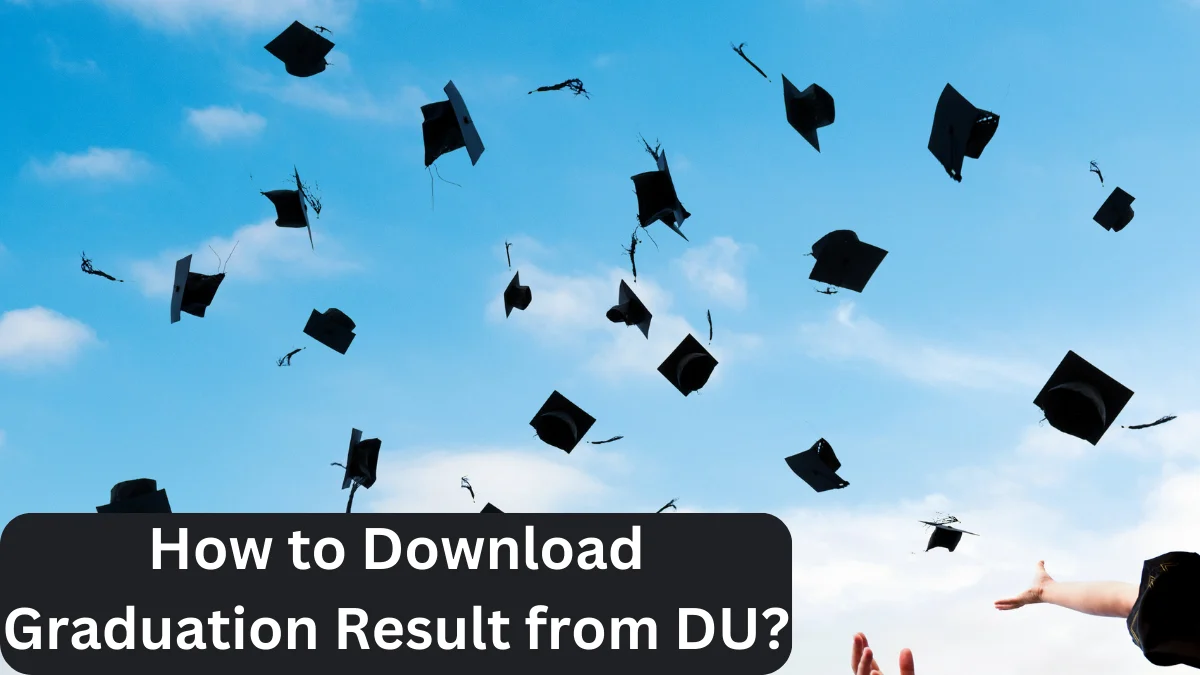 How to Download Graduation Result from DU? - Commerce Clarity