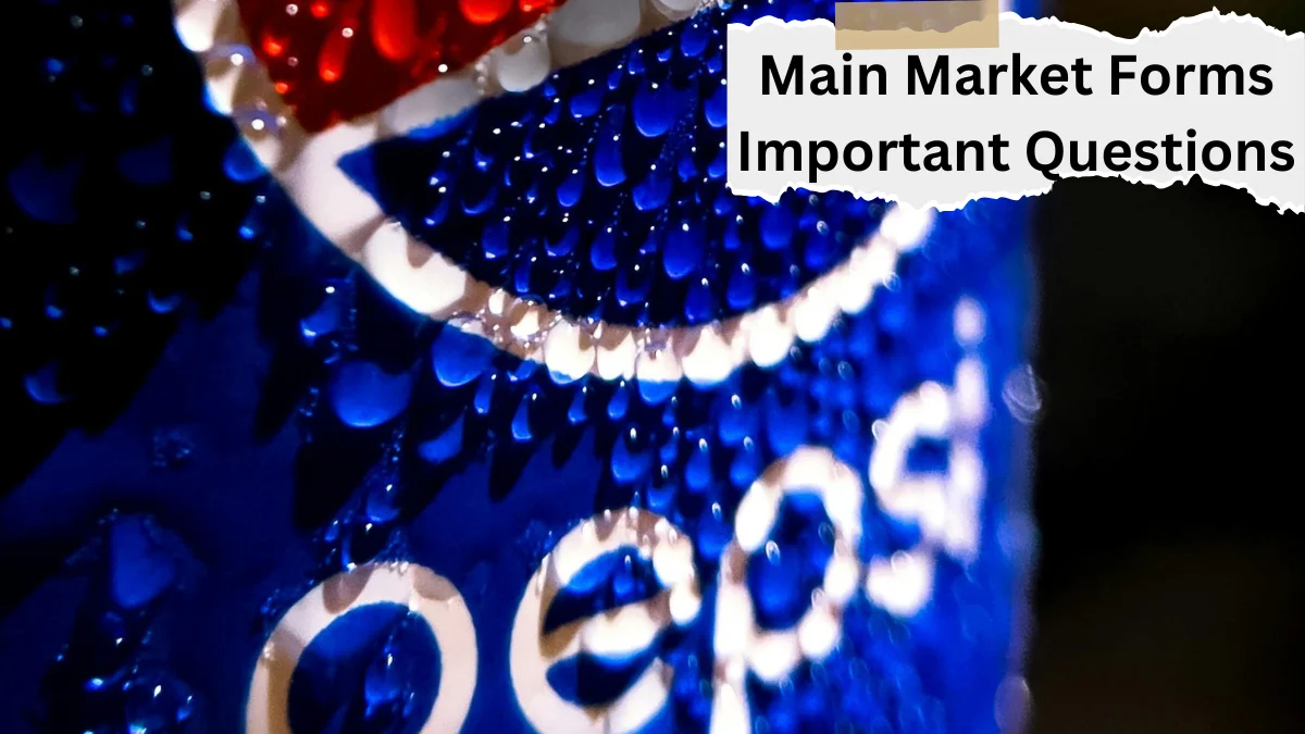 Main Market Forms Class 11 Important Questions - Commerce Clarity